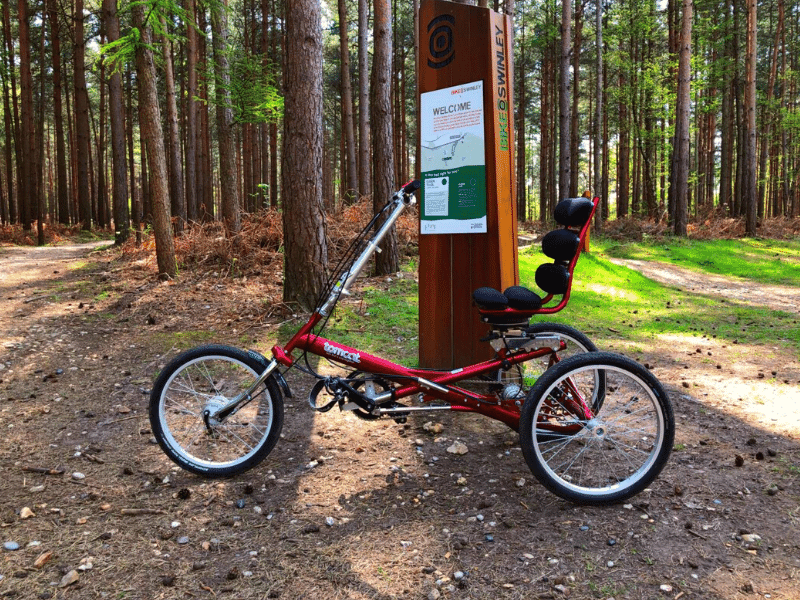 Tomcat Adult Mobility Trike – Multiple Options | Tomcat Cycles